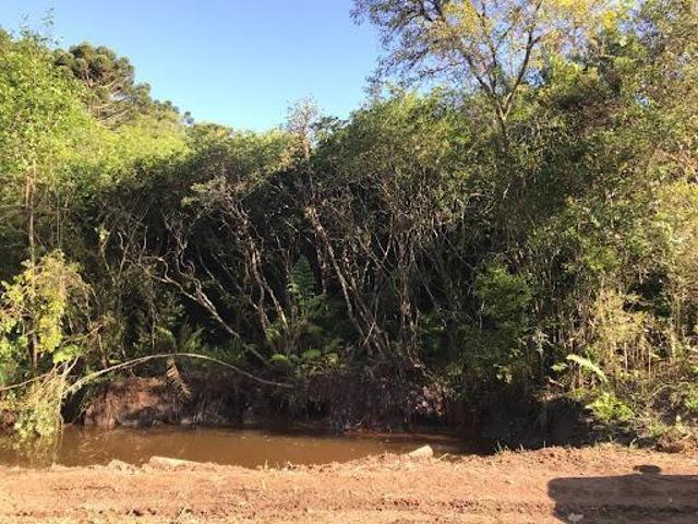 Terreno
