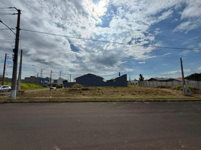 Terreno 294m²/ Bairro são jose/ de esquina