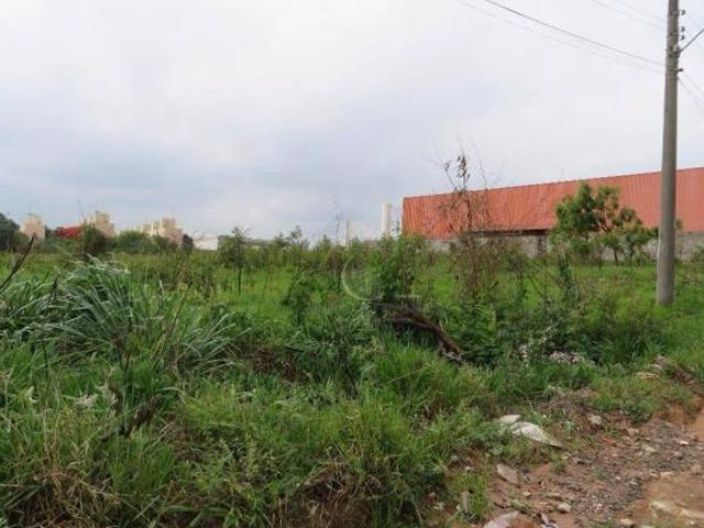 Terreno, 2976 m² venda por R$ 1.400.000,00 ou aluguel por R$ 10.000,00/mês Chácara Lusa Rio Cl