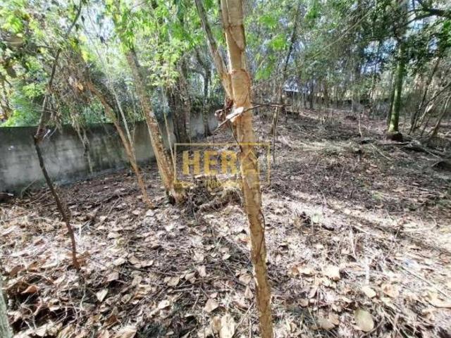 Terreno 2000m² em Condomínio Castanho