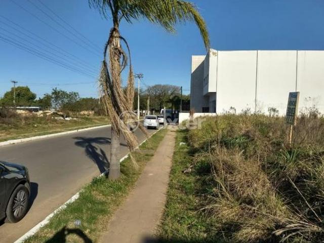 Terreno, 200 m², em Parque da Matriz