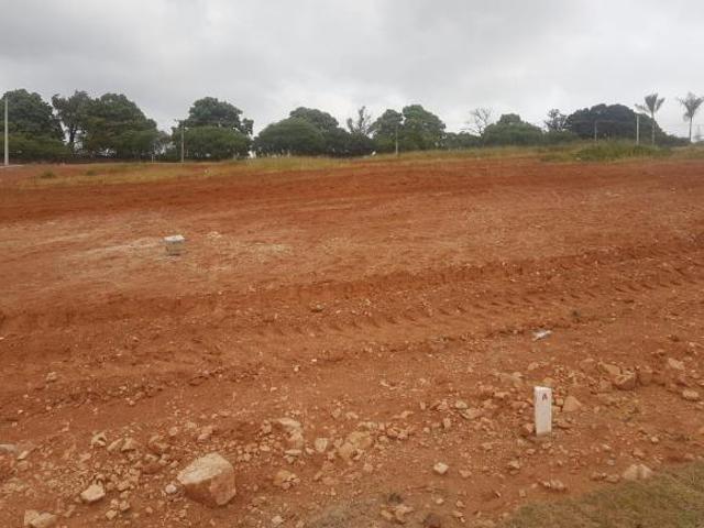 Terreno