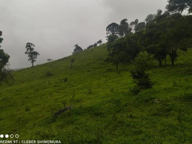 Terreno