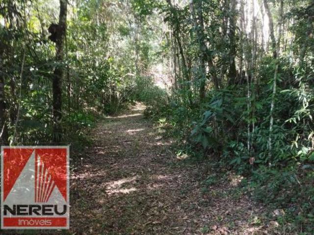 TERRENO 20.000M2 PARA FORMAR COM MATA NATIVA EM JUQUITIBA