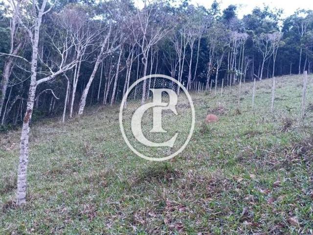 TERRENO 20.000m² com Escritura e localização Estratégica PARAIBUNA/SP
