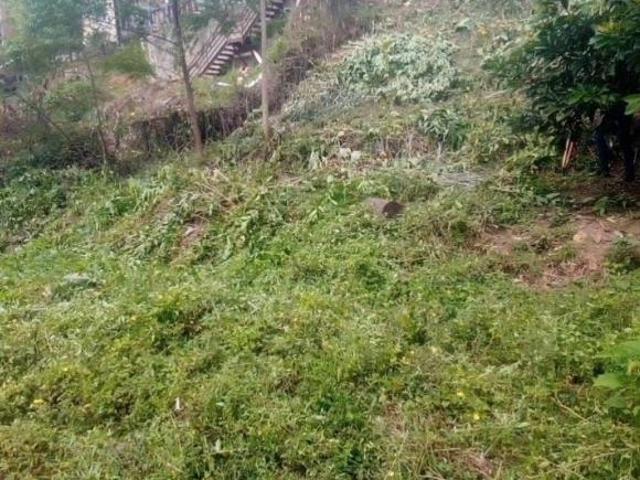 Terreno