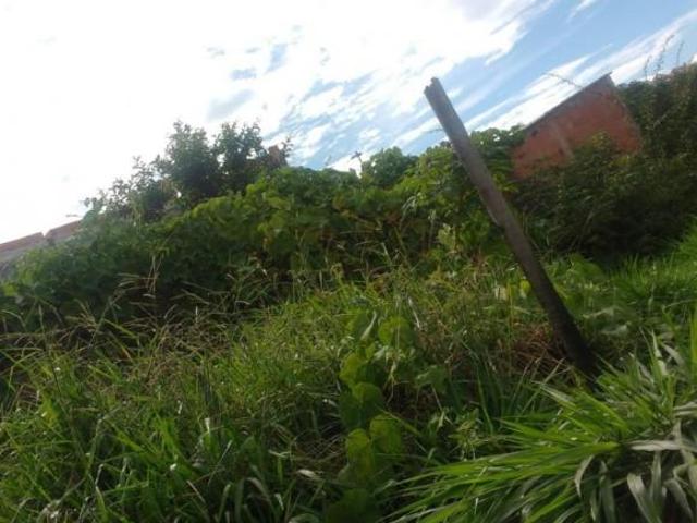 Terreno