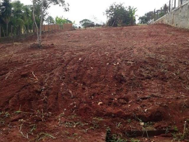 Terreno