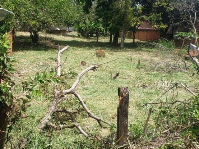 Terreno
