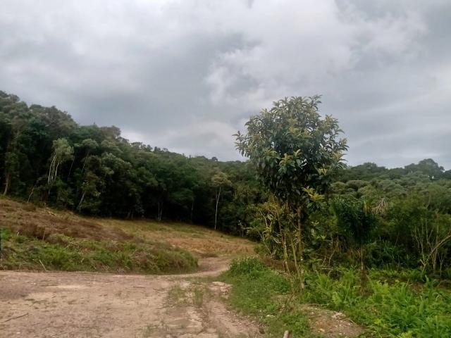 Terreno 21.000 m² Bocaiuva do Sul