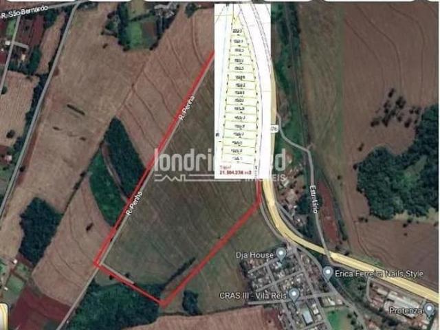 Terreno 21.500m² na BR 376 em Apucarana, ao lado do aeroporto, ideal para galpões, loteamento ou com