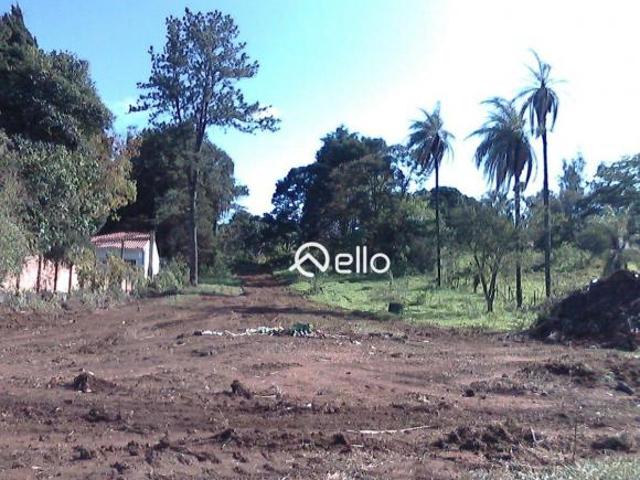 Terreno