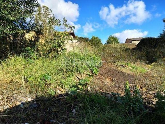 Terreno, 229 m², em São Lucas