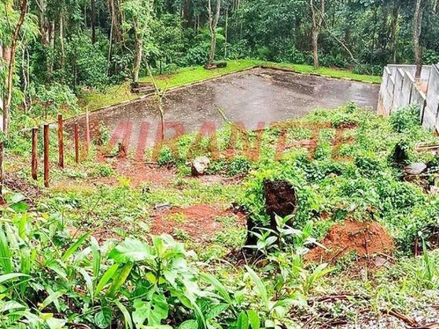 Terreno