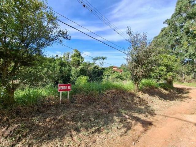 Terreno 23,62 de frente por 52.91 de extenção Av costa gama 2845