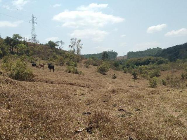 Terreno