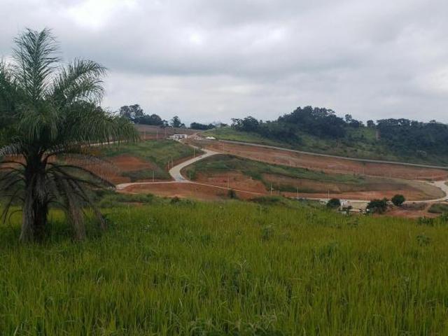Terreno