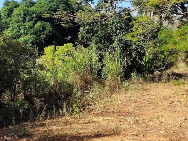 Terreno