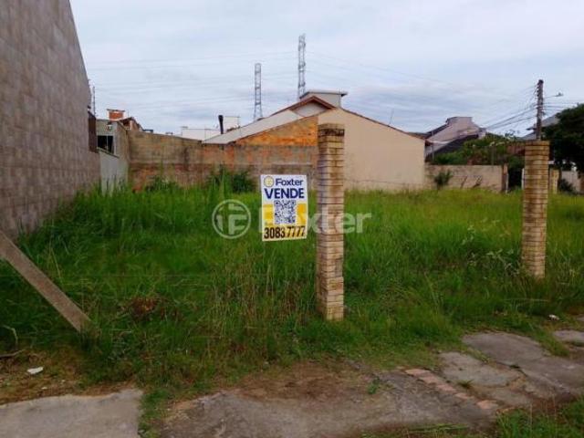 Terreno, 363.75 m², em Parque da Matriz