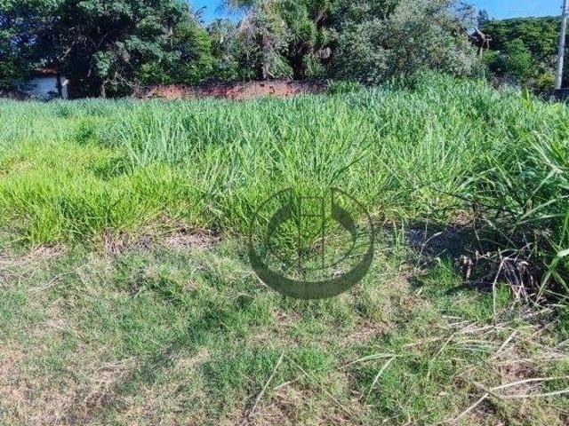 Terreno, 3600 m² venda por R$ 1.700.000,00 ou aluguel por R$ 11.494,42/mês Chácara Belvedere C