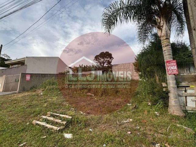 Terreno 360 m2 alto, rua asfaltada, próx.Hosp. Angelina Caron, financia R 180 mil