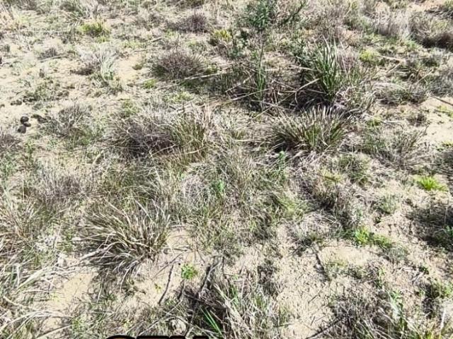 Terreno 360 m² Bocaiuva do Sul