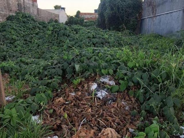Terreno 360m² Res Vereda dos Buritis Goiânia/Go