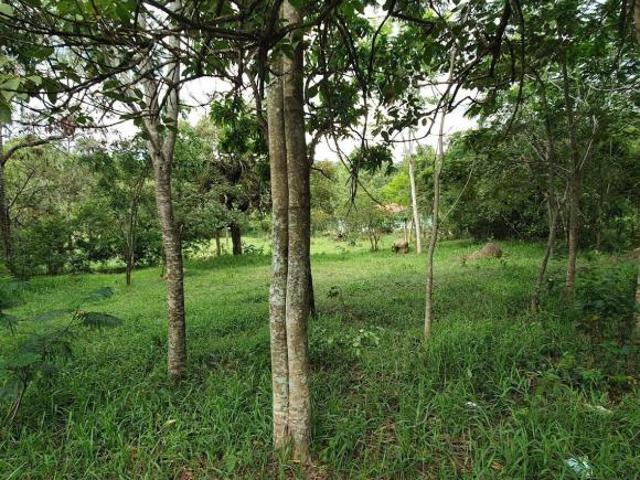 Terreno