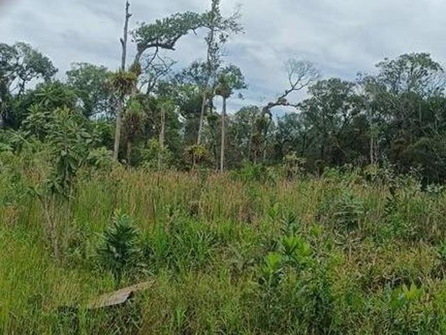 Terreno 367,50 m² no Balneário Currais em Matinhos