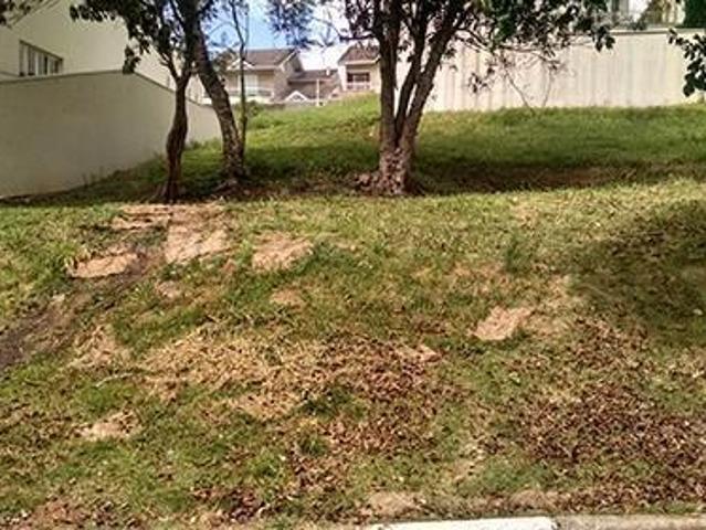 Terreno