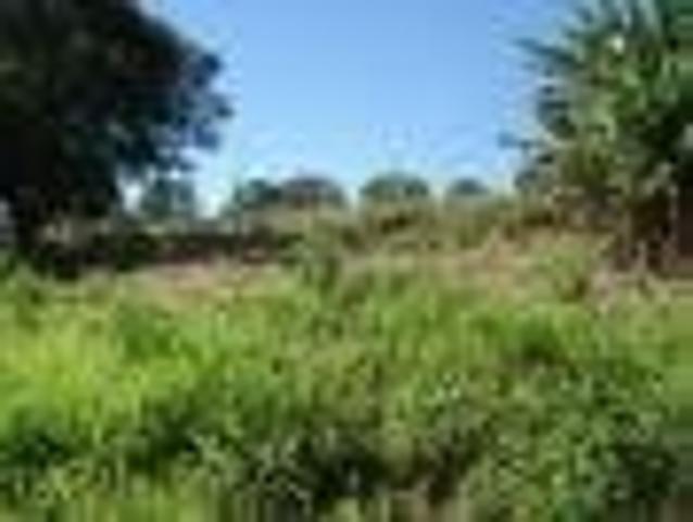 Terreno