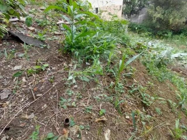 Terreno 370m² à Venda Próximo ao Metrô Tucuruvi, Excelente Potencial para Construção e Investimento