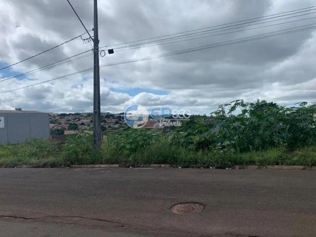 Terreno Marginal da Rodovia Carlos João Strass Jardim Tropical Londrina
