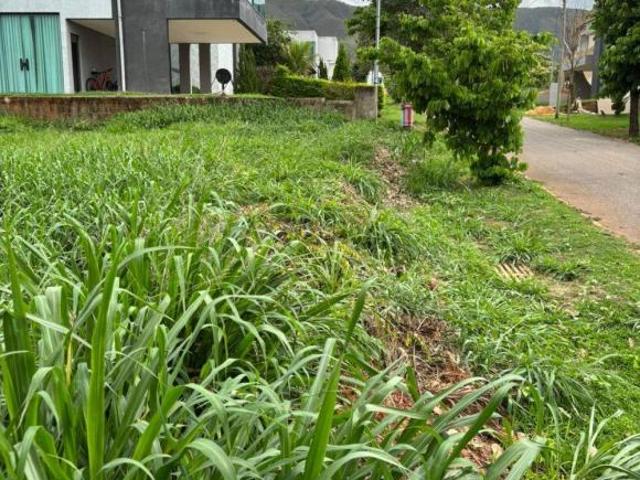 Terreno