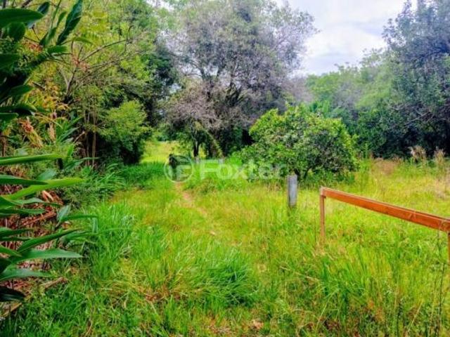 Terreno, 3000 m², em Berto Círio