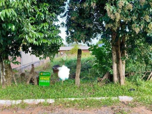 Terreno 300 m no bairro Morada Gaucha