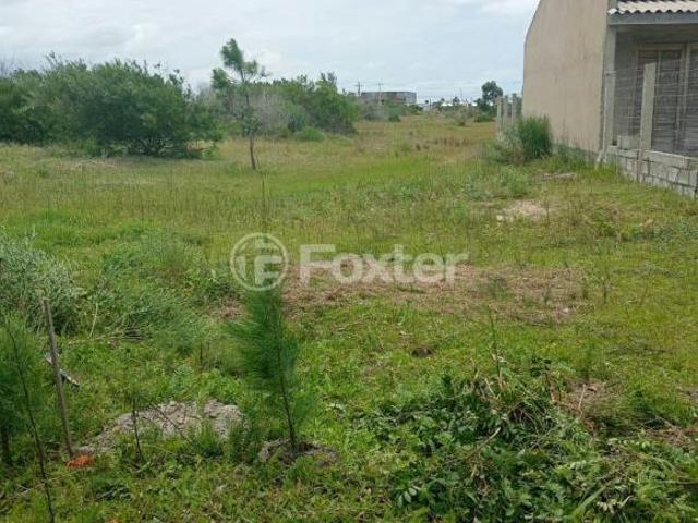 Terreno, 300 m², em Santa Terezinha