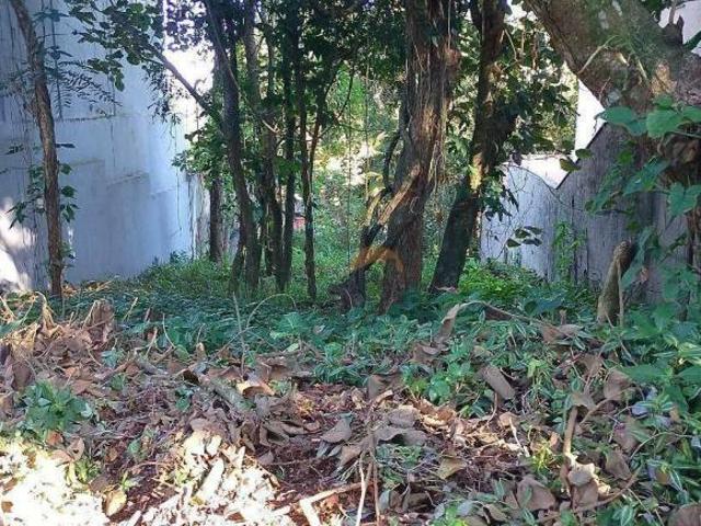 Terreno 300 m² Granja Viana Vila Diva Carapicuíba