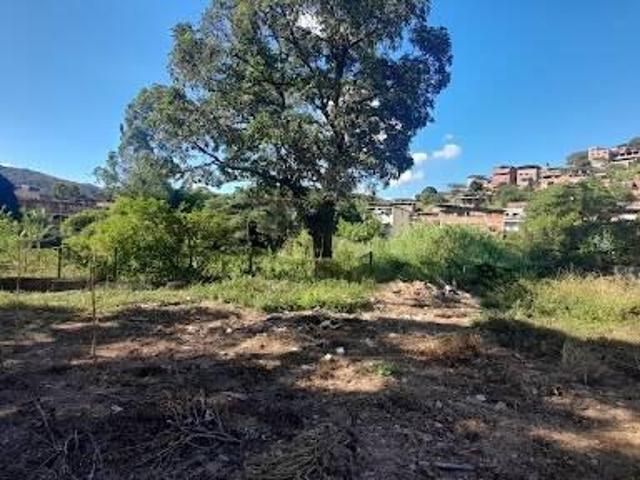 Terreno