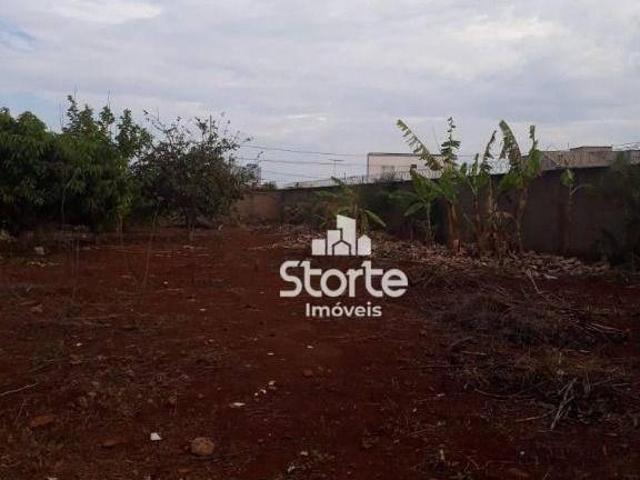 Terreno
