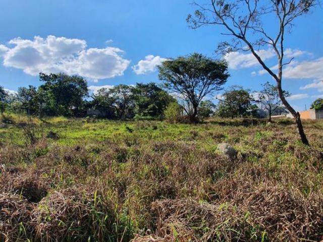 Terreno
