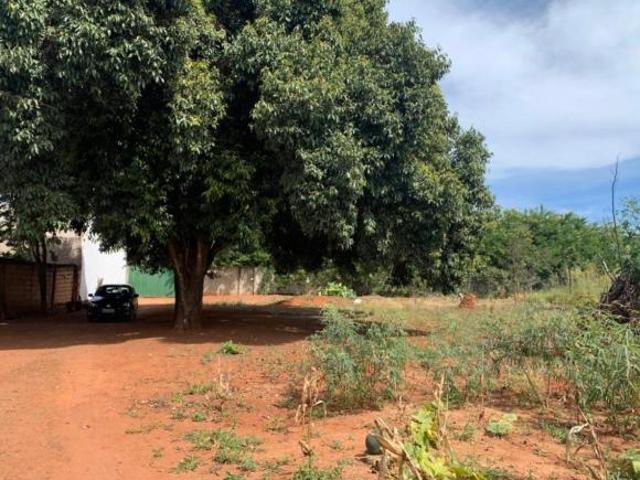 TERRENO 30.000M2 PLANO! COMERCIAL