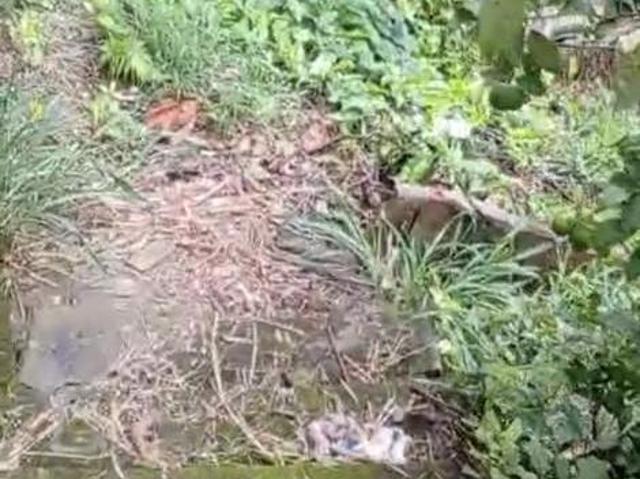 Terreno para venda em Eldorado, Contagem