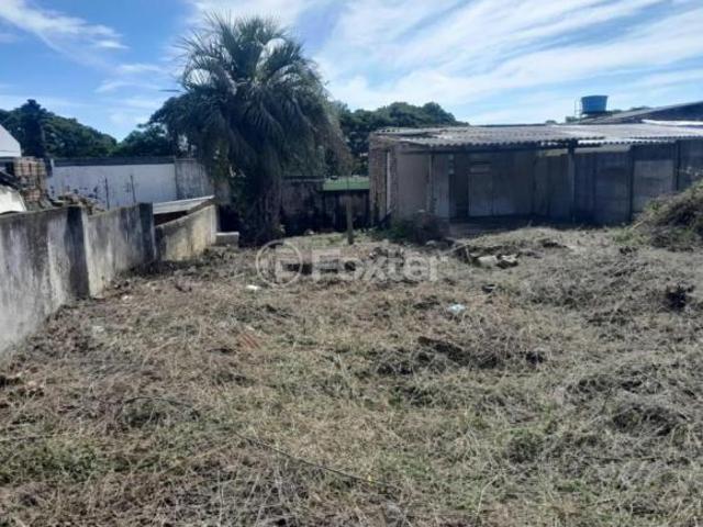 Terreno, 310 m², em Morro Santana