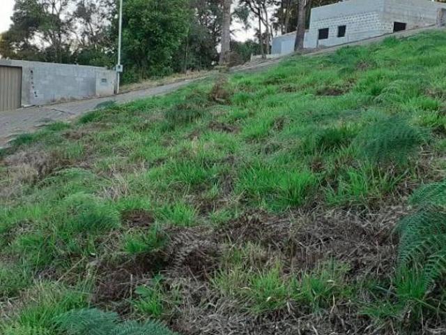 Terreno