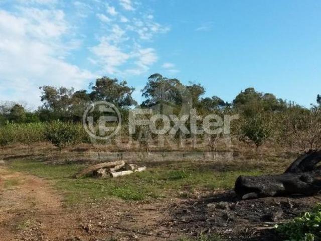 Terreno, 313000 m², em Belém Novo