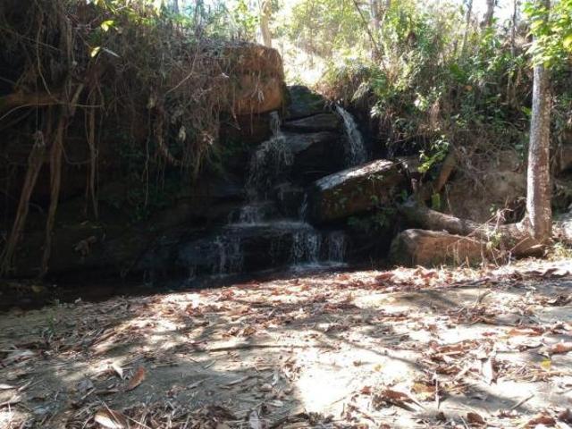 Terreno