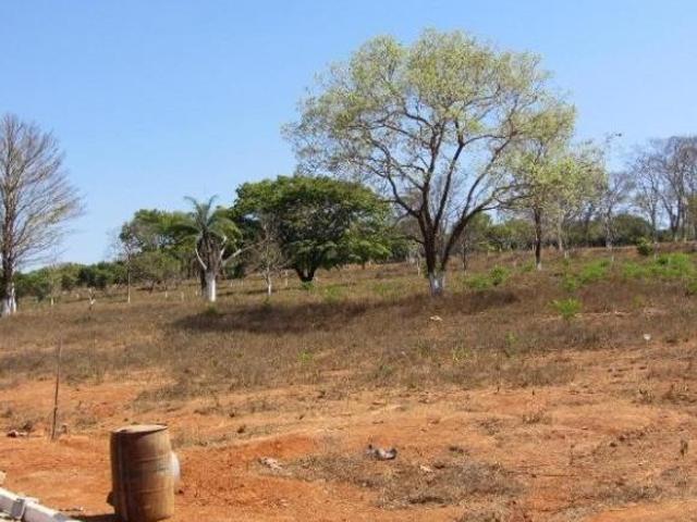 Terreno