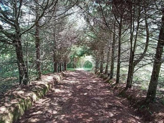 Terreno 31mil M² em São Bento do Sapucaí