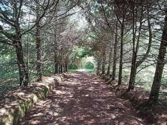 Terreno 31mil M² em São Bento do Sapucaí